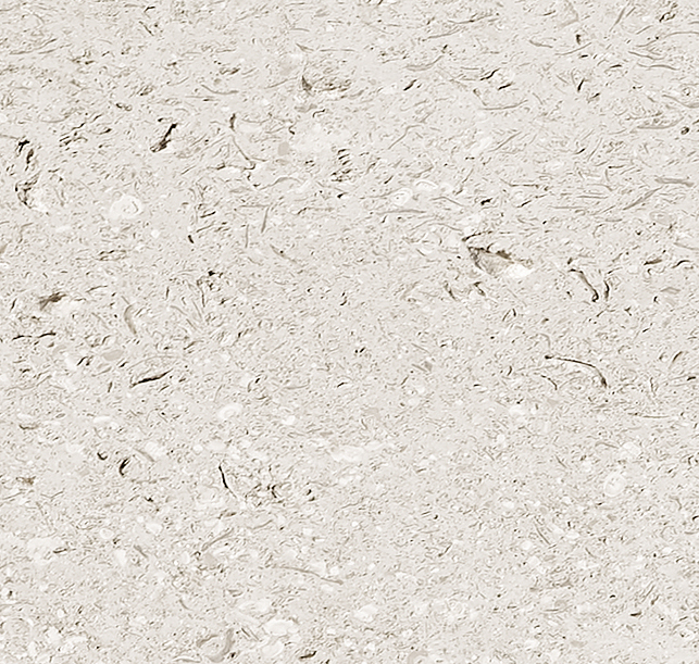 Portland stone | Fancy Beach Whitbed | Albion Stone