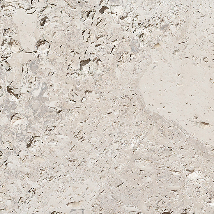 Portland stone | Ostrea Patch Reef Whitbed | Albion Stone